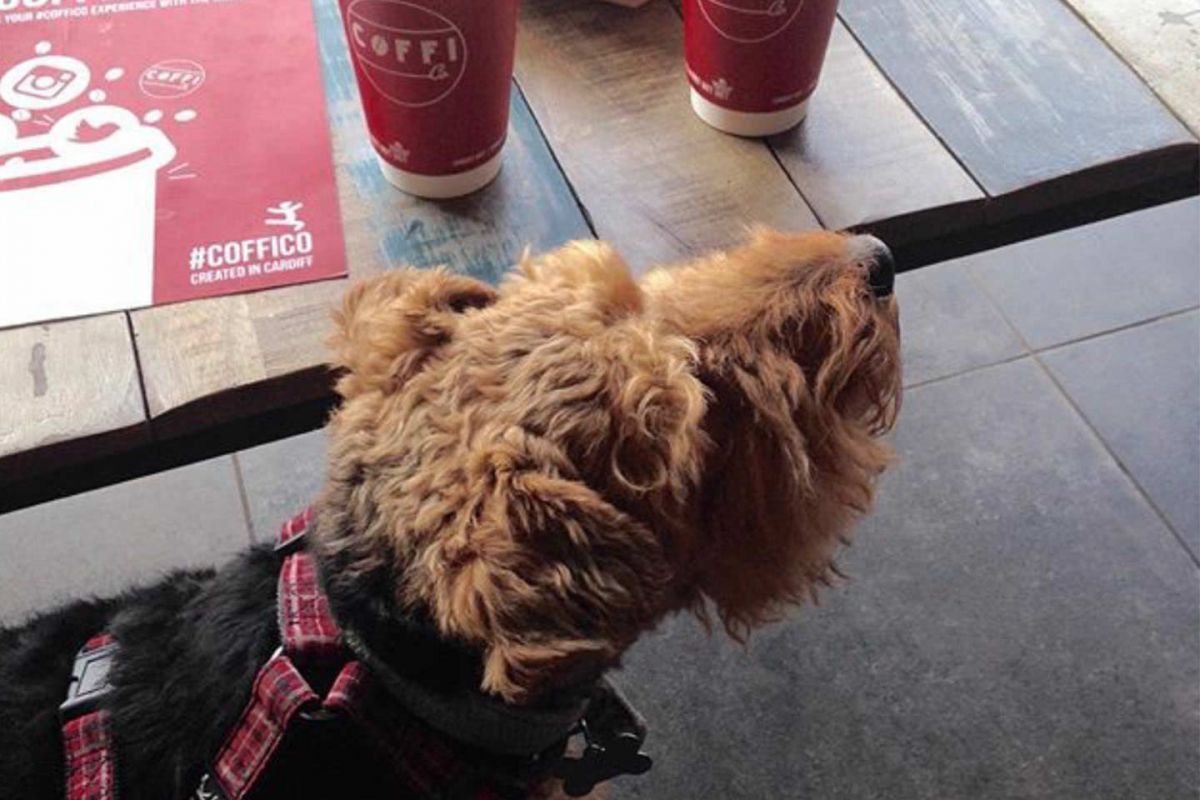 Cardiff Bay • Coffi Co